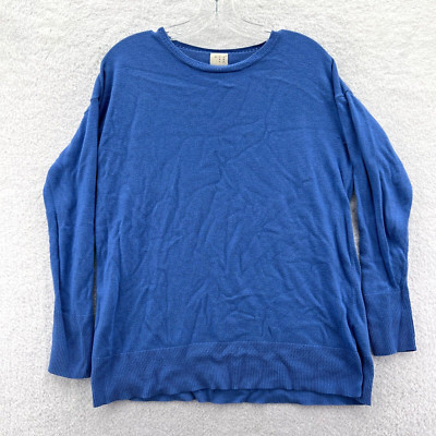 A New Day Sweater Womens Large Blue Long Sleeve Pullover Top Round Neck ...