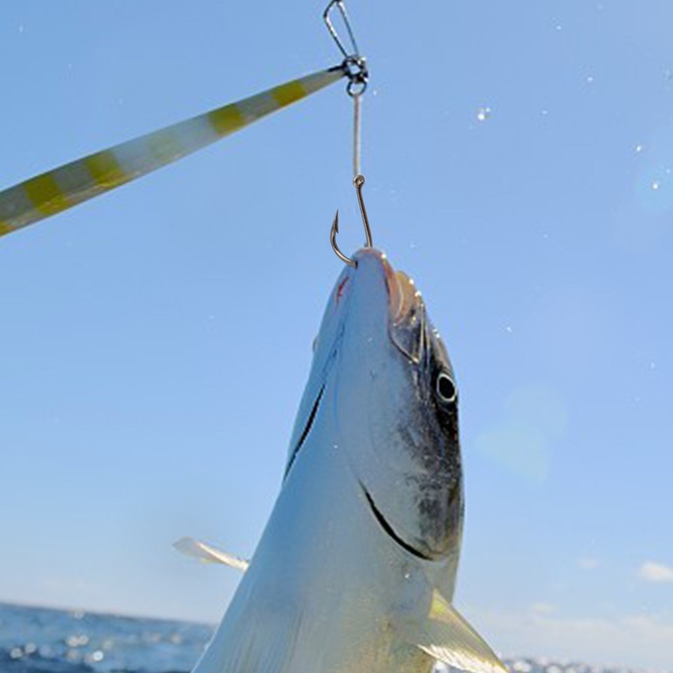 Fish Hook Box 100 Tubes 5#-15# Crooked Mouth Fishing Tackle Accessories ...