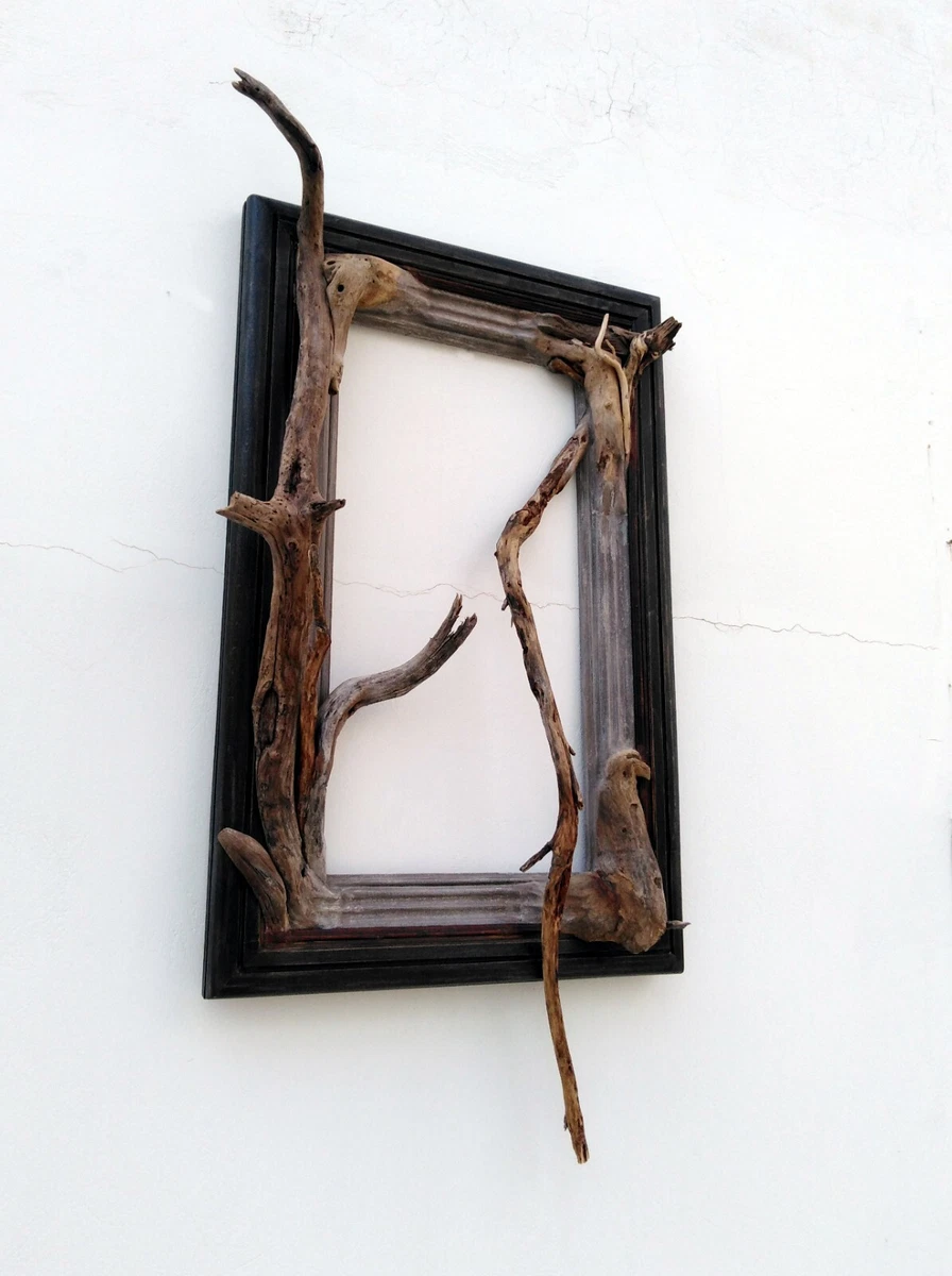 Framed Tree Branch Art