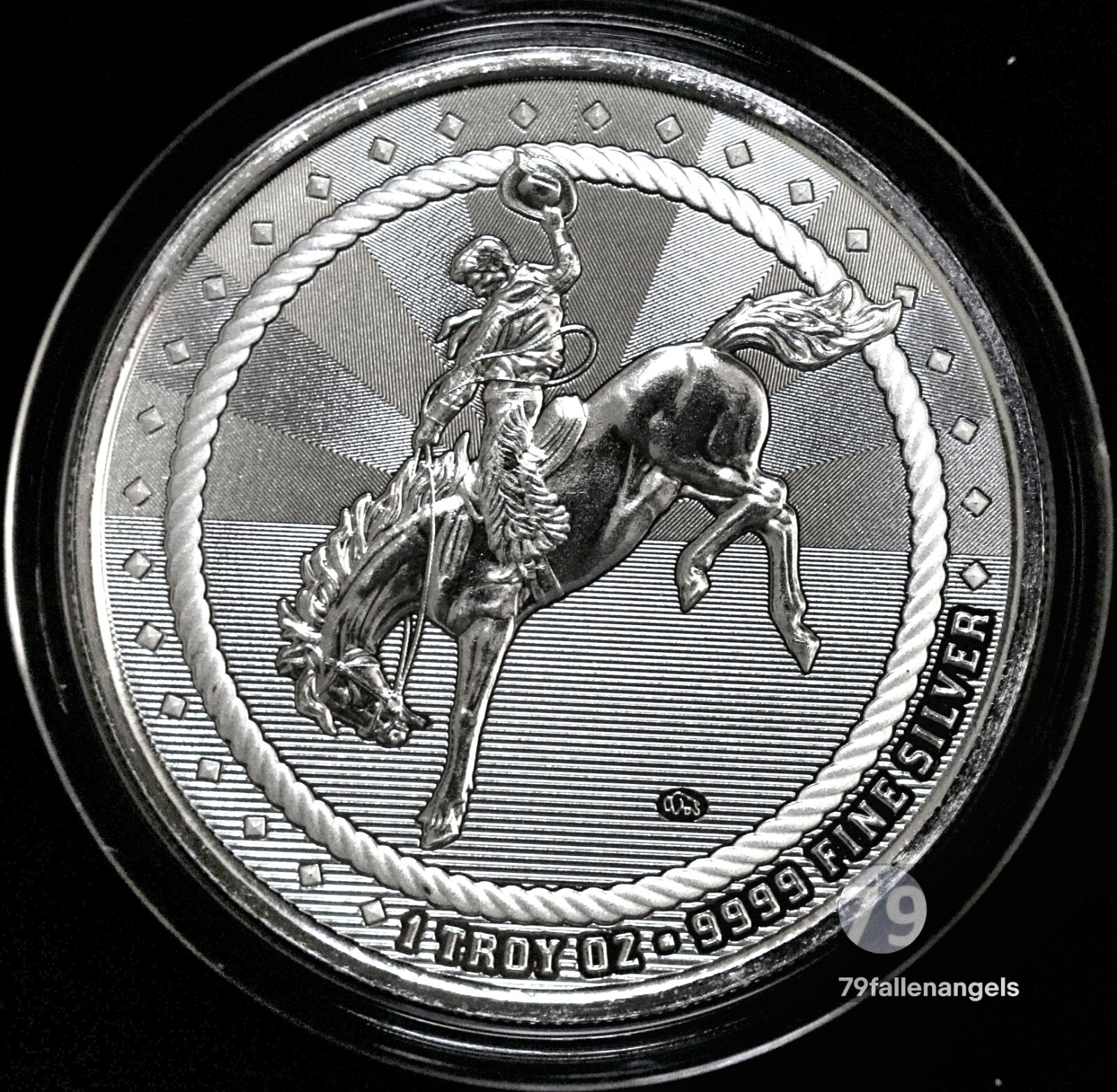 Scottsdale Mint Cowboy Buffalo Privy 1 oz Silver Round (In Capsule) | eBay