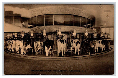 New Jersey Plainsboro NJ Walker-Gordon "Rotolactor" cow milking machine ...