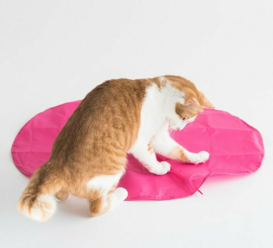 UnderCover Mouse Interactive Cat Toy, 2 in 1 Function 889270715100| eBay