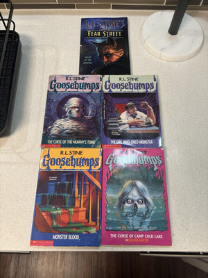 Goosebumps / Fear Street Lot | eBay