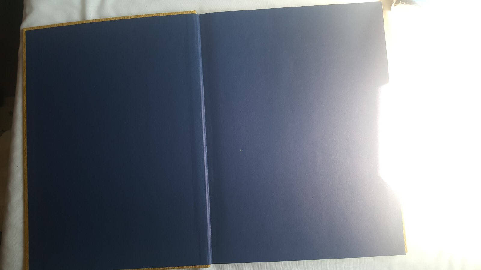 PLAYBOY The Twentieth Anniversary Cartoon Album, FIRST ED. 1974 HC DJ ...