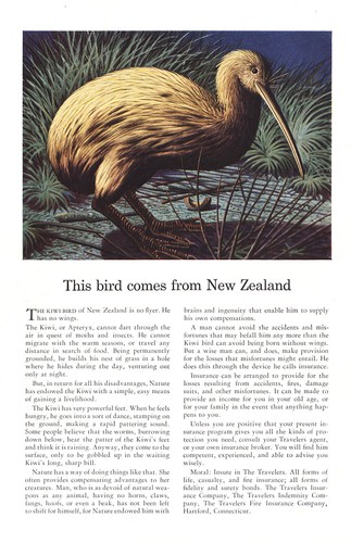 1942 Travelers Insurance: Kiwi Bird, New Zealand Vintage Print Ad | eBay