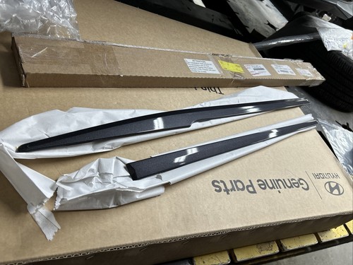 Genuine Toyota Door Moldings PT29A-48201-19 2 Moldings In Box For Right ...