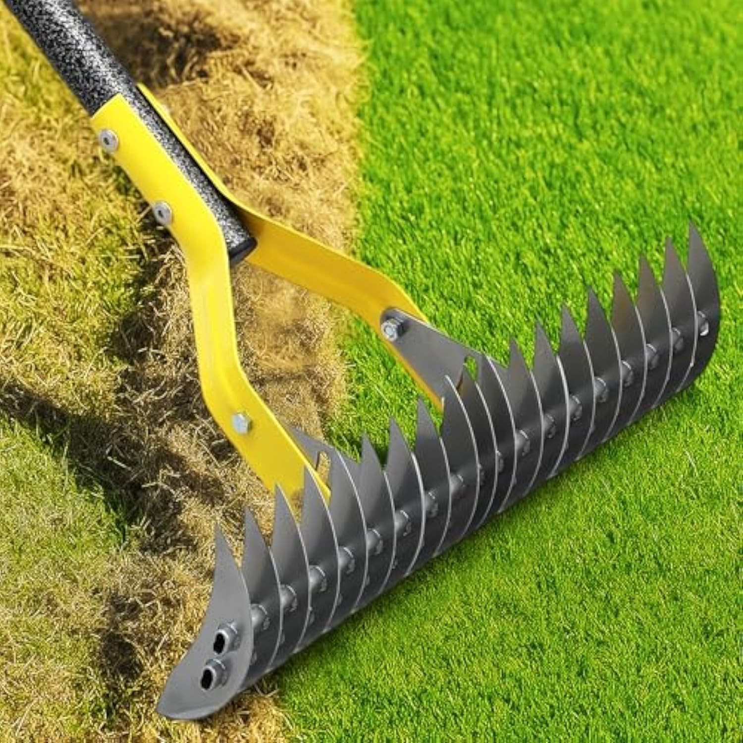 Dual-Action Thatch Rake for Lawn – Efficient 15" Thatching Rake with S ...