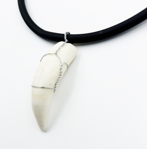 Alligator Tooth Necklace Monster Gator New Orleans Louisiana Cajun ...