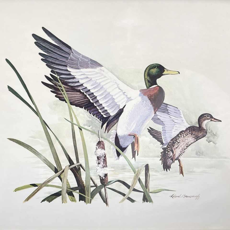 Vintage 1978 Duck Prints Framed Pair Leland Brewsaugh Scafa Tornabene ...