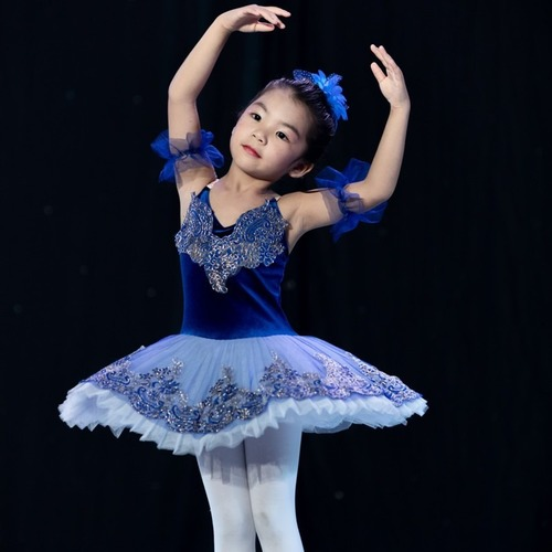 Professional Ballerina Ballet Tutu Adult Pancake Tutu Dance Ballet ...