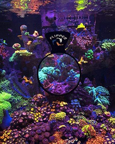 FL!PPER Aquarium Magnifier Magnetic Viewer – Fish Tank Magnifying Glass ...