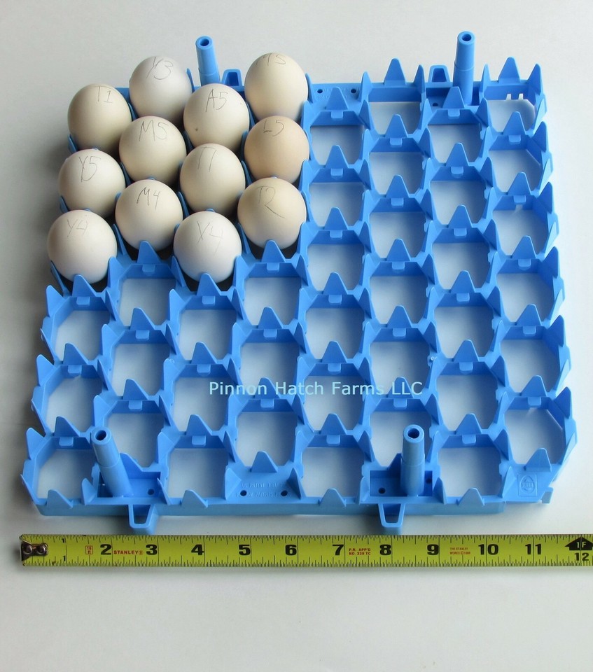 Pinnon Hatch Farms Incubator Egg Hatching Trays for Small to Large ...