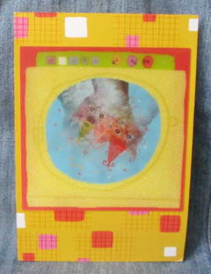 3D Lenticular CATS IN WASHING MACHINE Hallmark BIRTHDAY Greeting Card ...