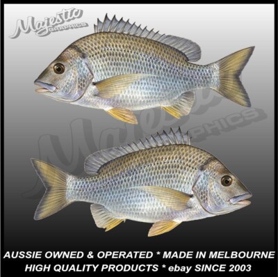 BREAM YELLOWFIN - 250mm X 125mm X 2 - BOAT DECALS / STICKERS | eBay ...