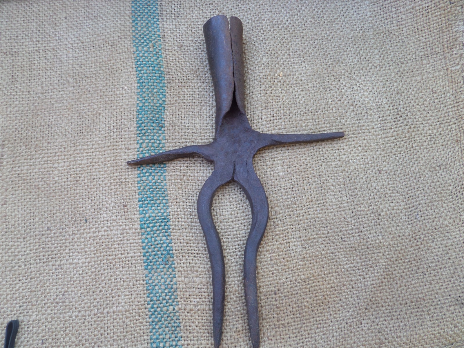 ANTIQUE ROOT PULLER BEET EXTRACTING TOOL DIGGING BEETROOT VINTAGE HAND ...