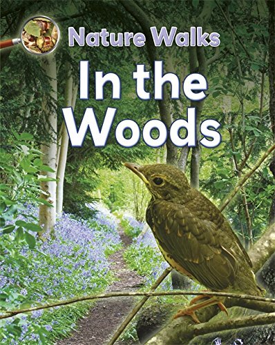 In the Woods (Nature Walks) By Clare Collinson | eBay