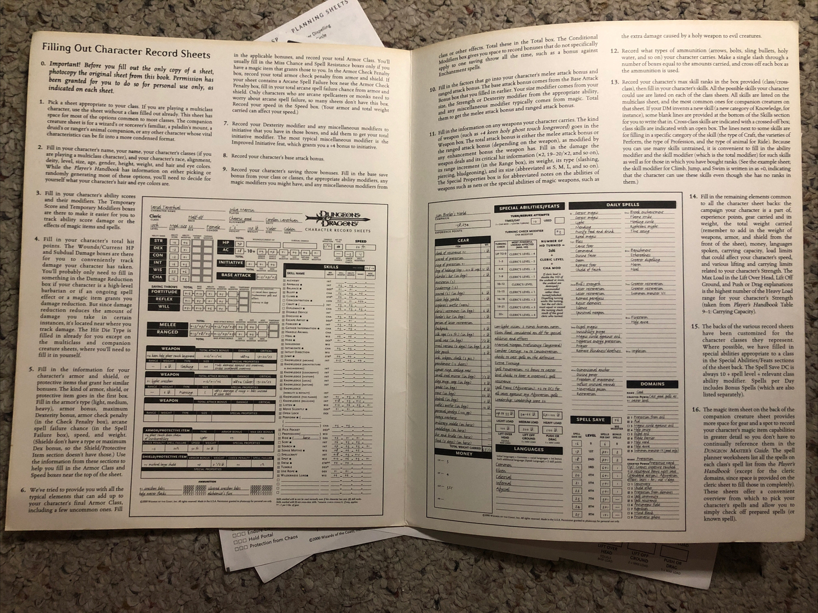 Character Record Sheets (Dungeons & Dragons 3rd Edition d20 System RPG ...