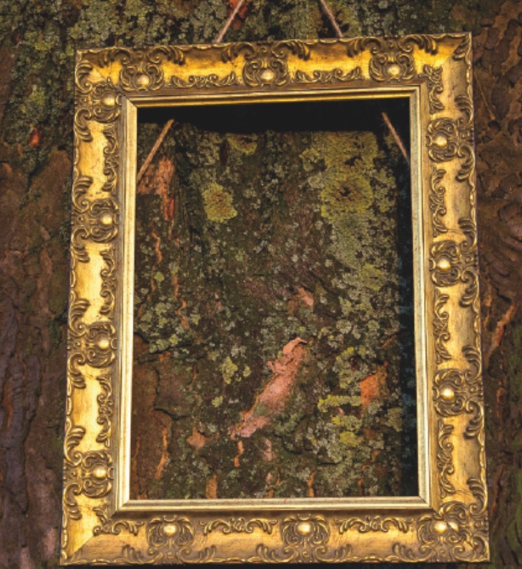 WIDE Ornate Shabby Chic Antique swept Picture photo frame Gold /SILVER ...