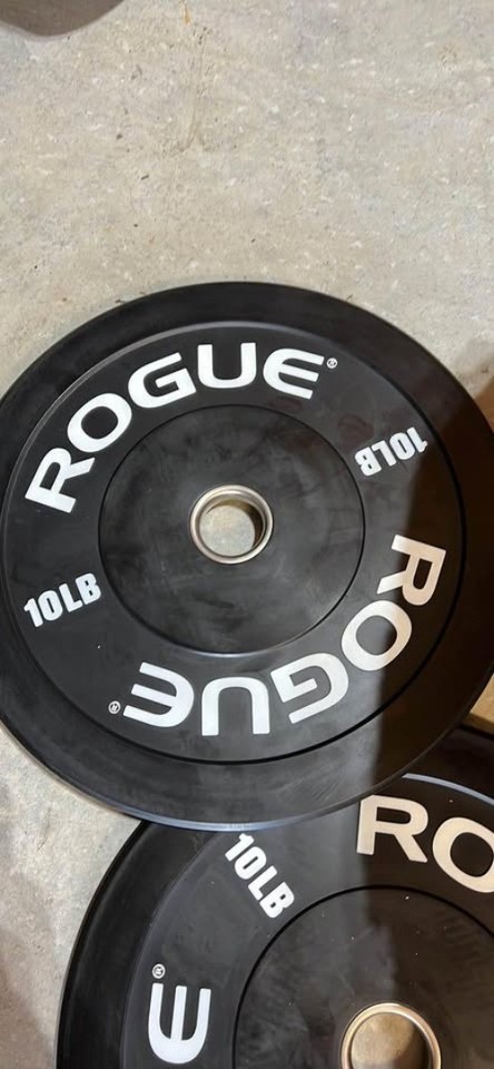 10LB Rogue Fitness Echo V2 Olympic 2" Bumper Plate Pair NEW | eBay