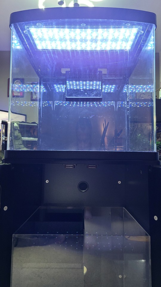 BioCube Coralife 32 LED Aquarium Package with custom sump and more | eBay