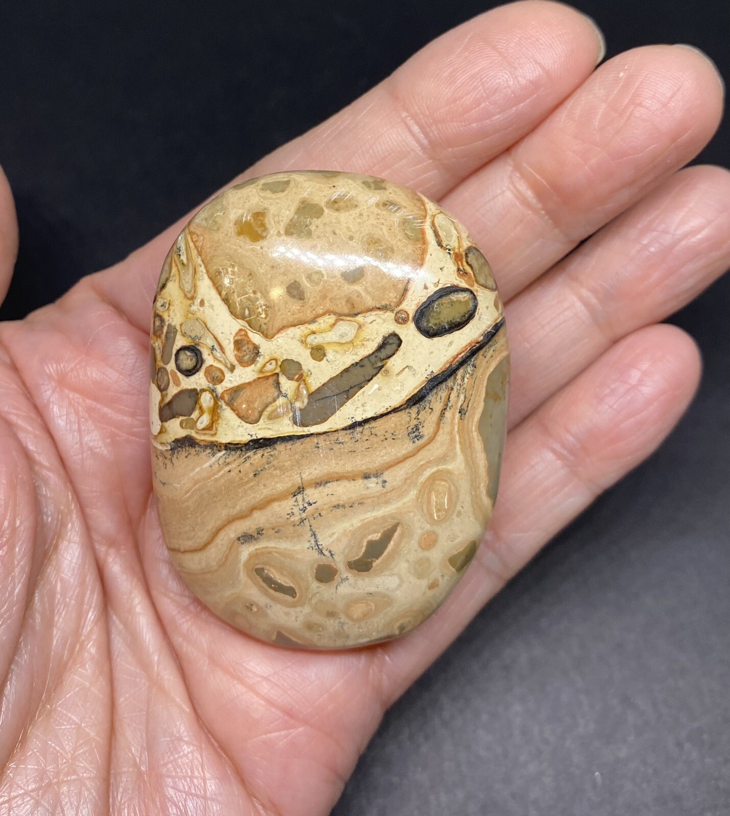 Gorgeous Leopardite Jasper Palm Stone From Peru 88g RARE LAST ONE | eBay