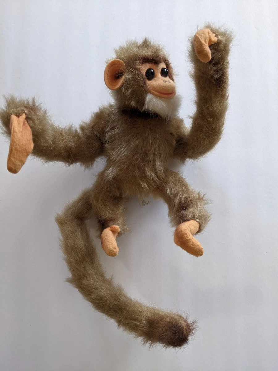 Moving Pictures Of Monkeys