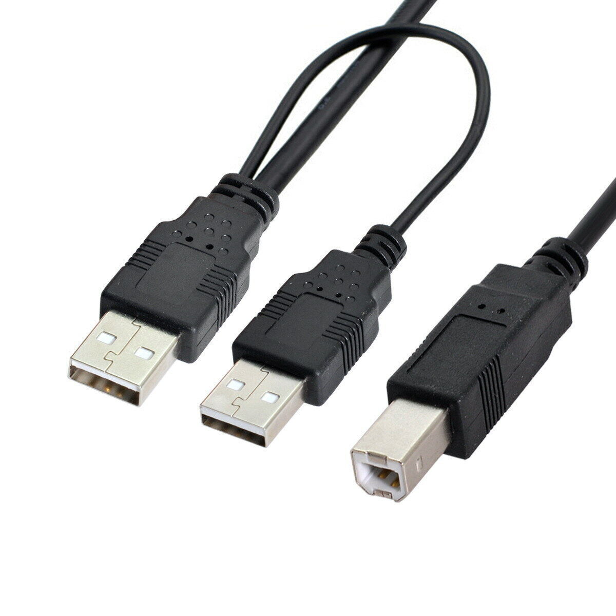 Dual USB 2.0 Male to Standard B Male Y Cable for Printer & Scanner Disk ...