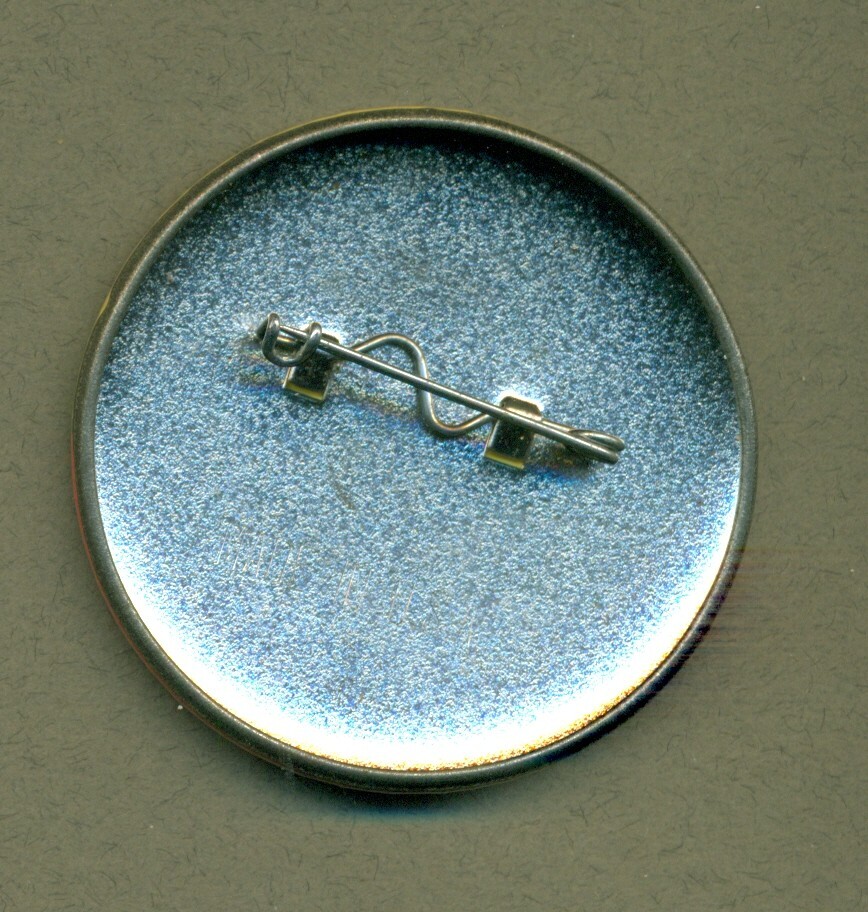 1980 RICE LAKE WISCONSIN BUTTON - AQUFEST | eBay