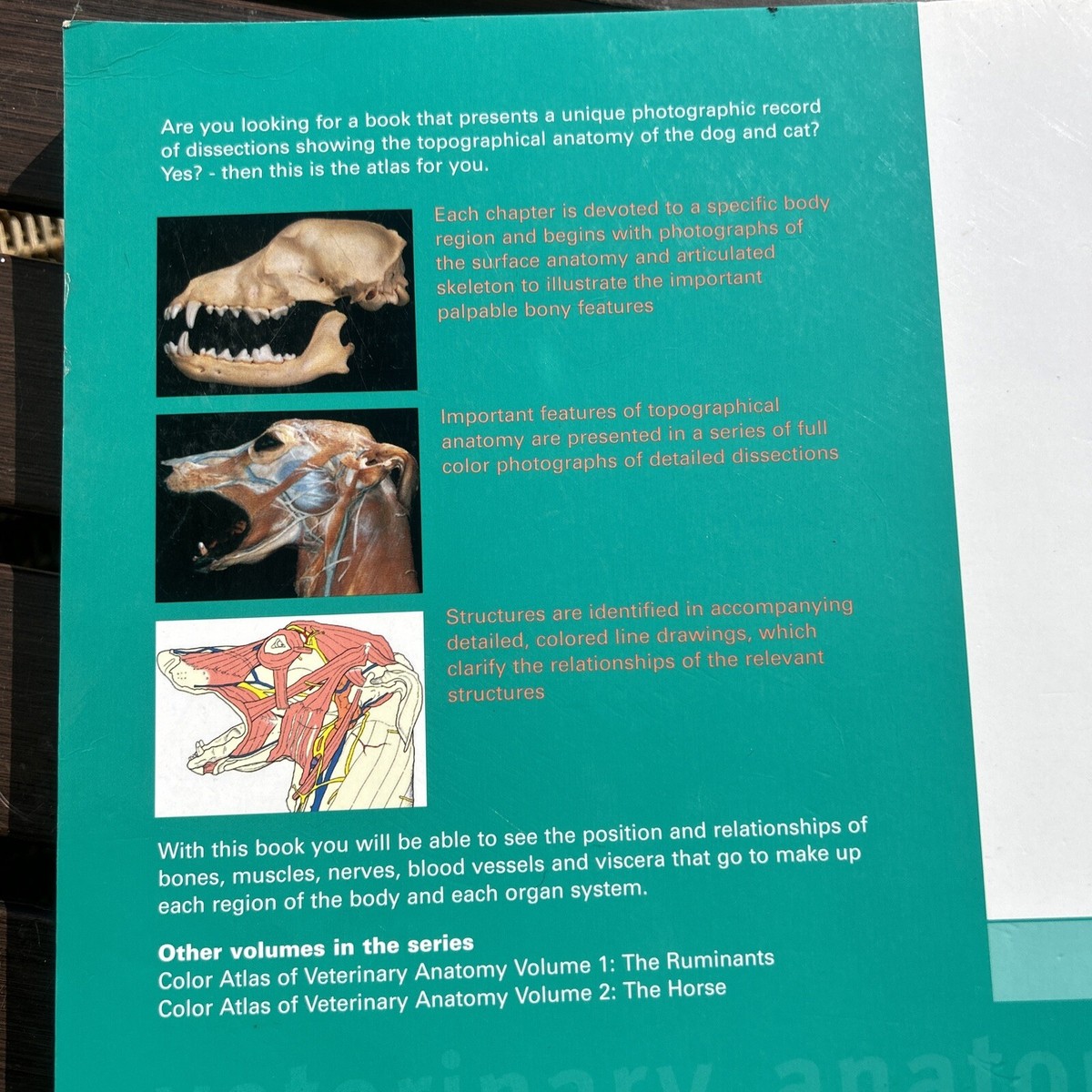 Atlas Of Veterinary Anatomy Lt Veterinary Physiology | Online Learning