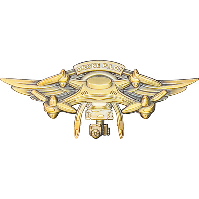 GL12-006 Gold 3D Full size UAS FAA Commercial Drone Pilot Wings pin | eBay