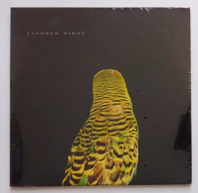 ANDREW BIRD : ARMCHAIR APOCRYPHA ♦ CD ALBUM ♦ | eBay