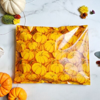 100 Printed Poly Mailers 10X13 Shipping Envelopes Bags FALL PUMPKINS ...