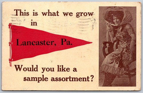 Vtg This Is What We Grow In Lancaster Pennsylvania PA Pretty Ladies ...