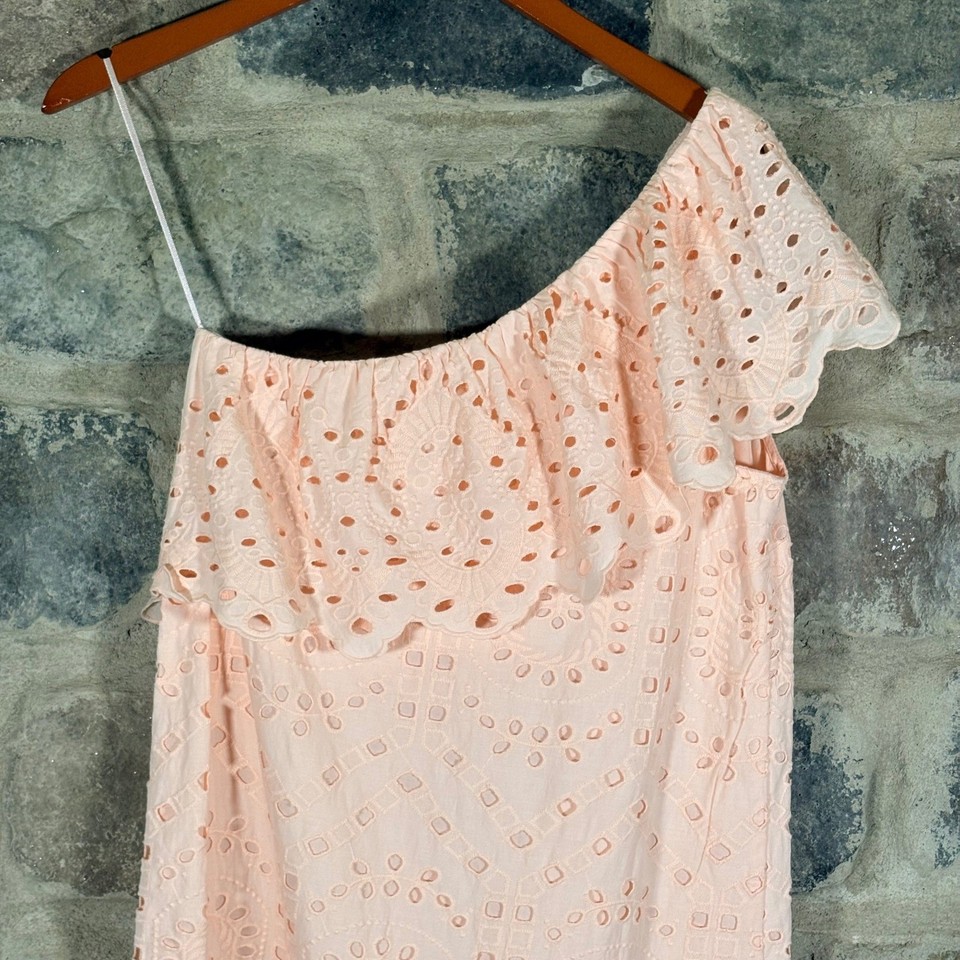 LOFT Women's Pink One Shoulder Eyelet Ruffle Dress Size 6 NWT Summer ...