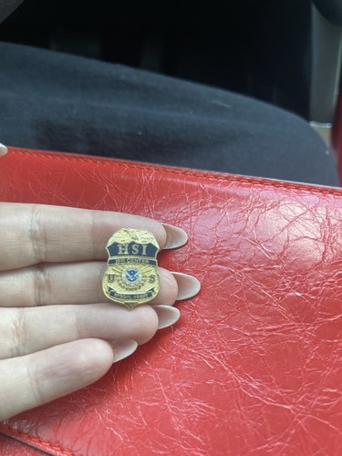 Homeland Security Investigations HSI Special Agent Lapel Tie PIN GOLD ...