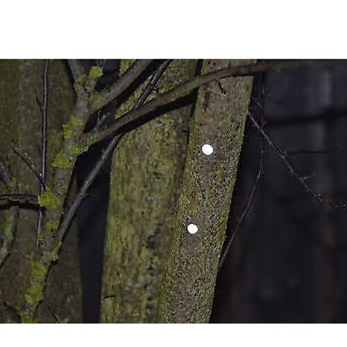 50 x Reflectors Reflective Adhesive Points Reflective Circles ...