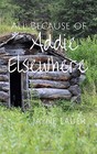 ALL BECAUSE OF ADDIE ELSEWHERE By Jayne Lauer **BRAND NEW ...