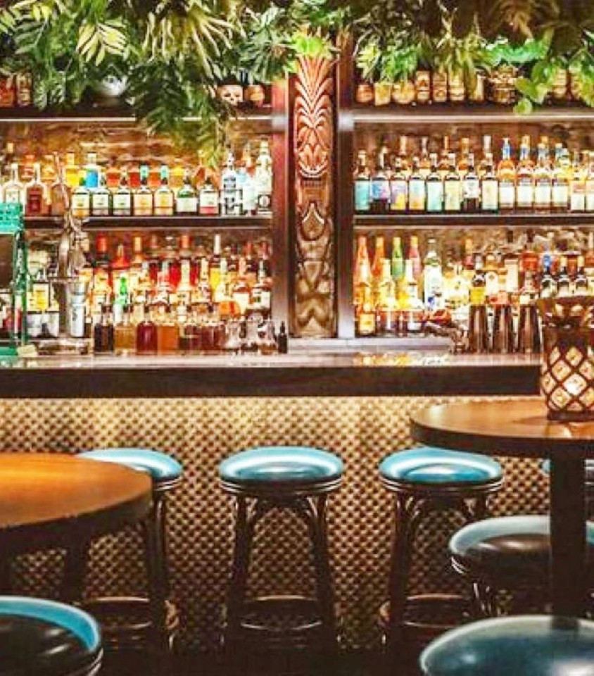 Trader Vic's Cocktail Mixes and Syrups Tiki Tropical Drinks No Alcohol ...