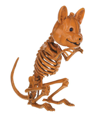 Skeleton Mouse with Cat Face Pumpkin Orange Halloween Decor | eBay