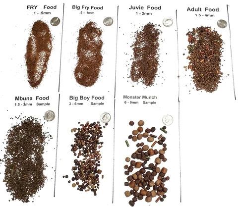 Ron's Cichlids Monster Munch 6m-9mm Oscar, Arowana, Jaguar Large fish ...