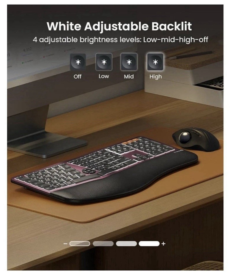 ProtoArc EK01 Plus Backlit Dual Mode Ergonomic Workspace Keyboard Black ...