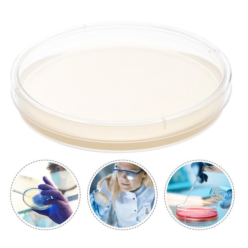 10 Pcs Nutrient Agar Plate Kids Science Fair Project Kit Tissue Culture ...