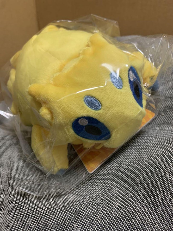 Bachuru Pokemon Center Original Net Bag Eco Bag Pouch new | eBay