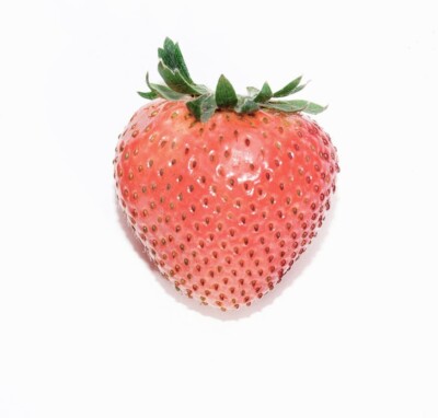 Rosy Pink Strawberry Seeds - Comb. S/H! | eBay
