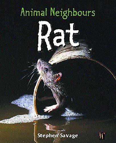 Animal Neighbours: Rat by Savage, Stephen Hardback Book The Fast Free ...