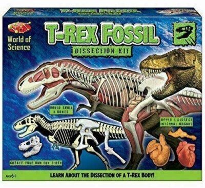 T-REX FOSSIL DISSECTION World Of Science Education Kit Mould Skull ...