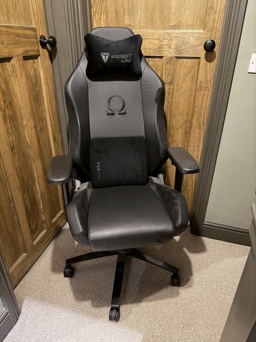 Secret Lab OMEGA Gaming/Office Chair with Lumbar and Head Cushion | eBay UK