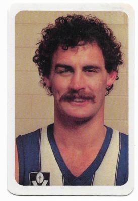 1981 Ardmona Big League Series 1 Gary DEMPSEY North Melbourne | eBay ...