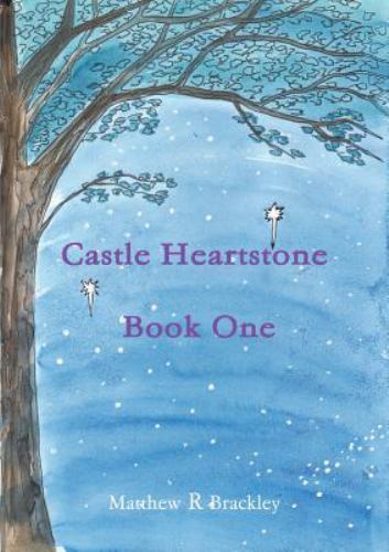 Castle Heartstone Book One by Matthew R. Brackley (2014, Trade ...