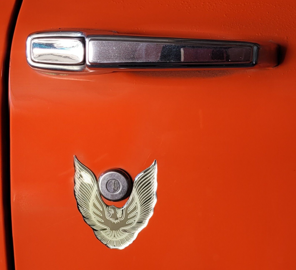 Vintage 80s 90s Pontiac Firebird/Trans Am SILVER Eagle Bird Stick On ...